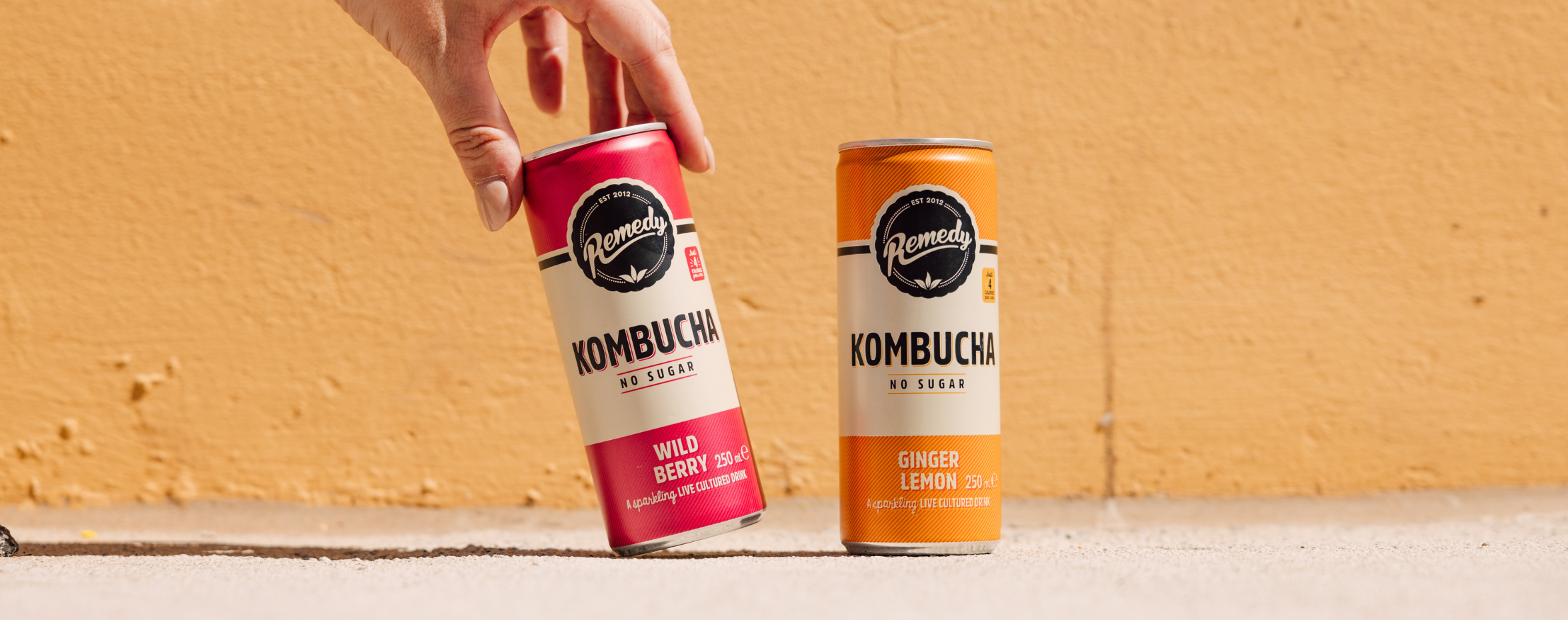 Is Kombucha Halal? | Remedy Drinks UK – Remedy Drinks | No Sugar and ...