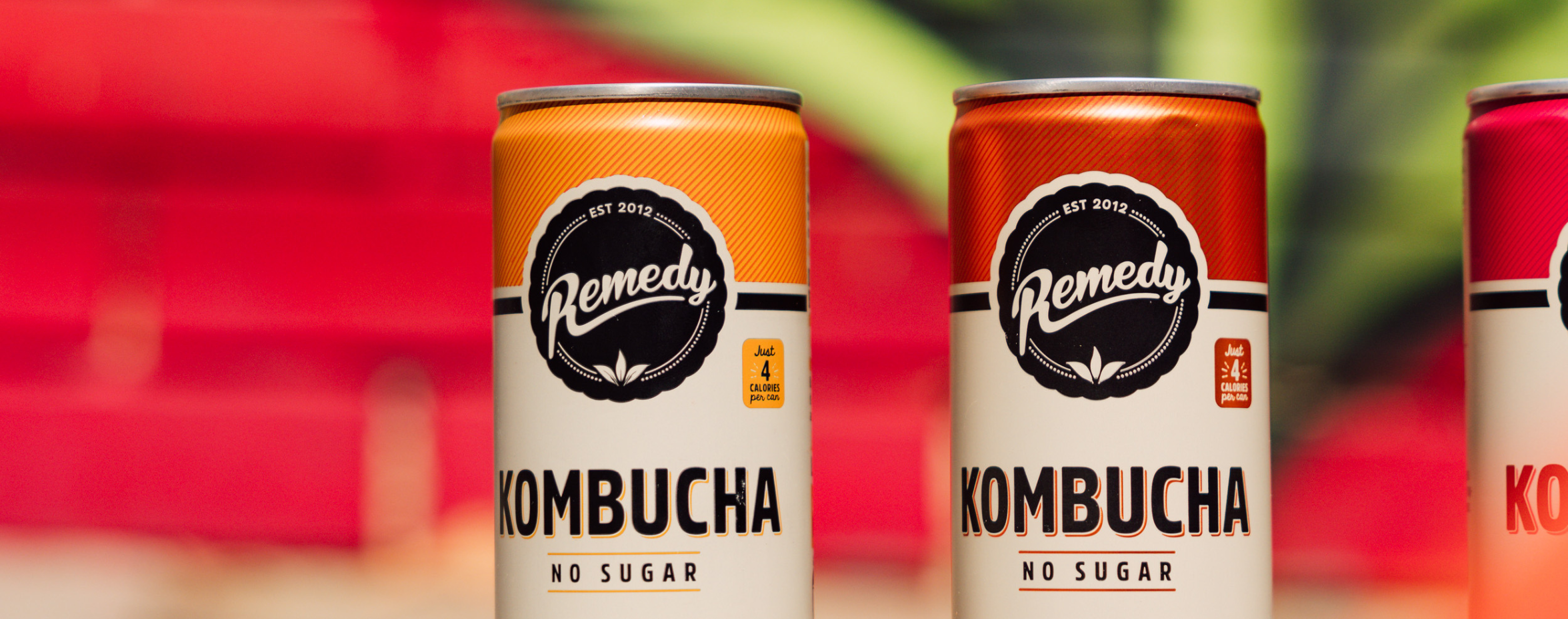 What Are These Floaties In My Kombucha? | Remedy Drinks UK – Remedy ...