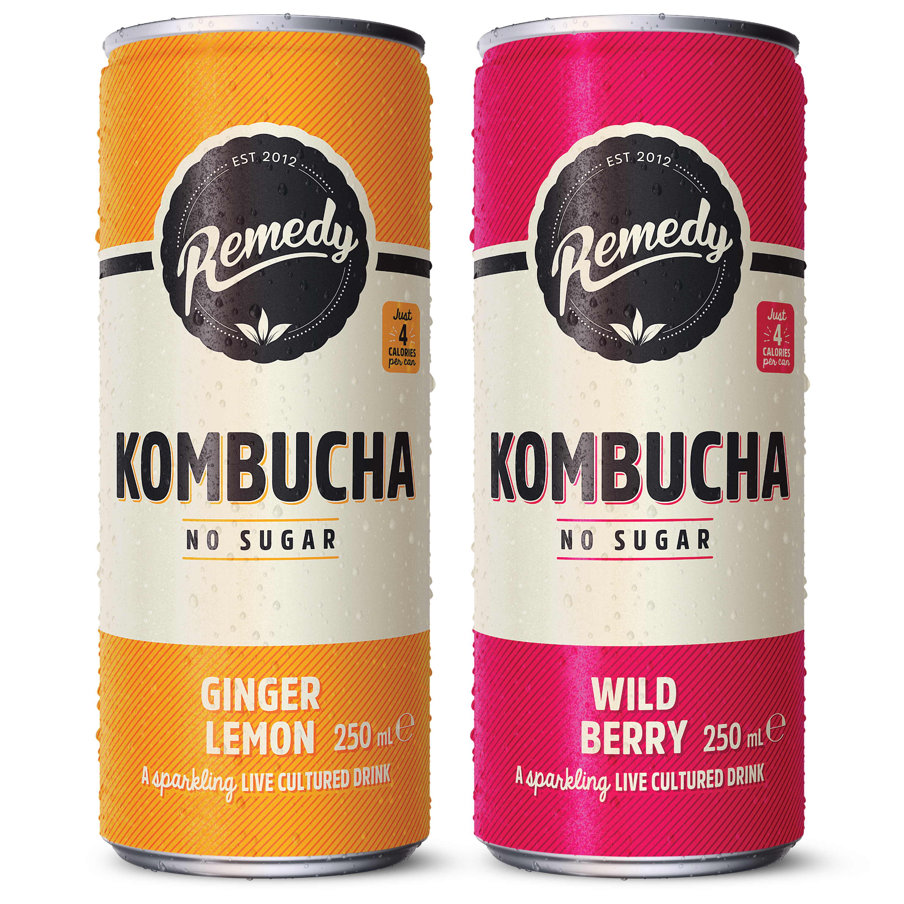 Shop Remedy – Remedy Drinks | No Sugar and Live Cultured