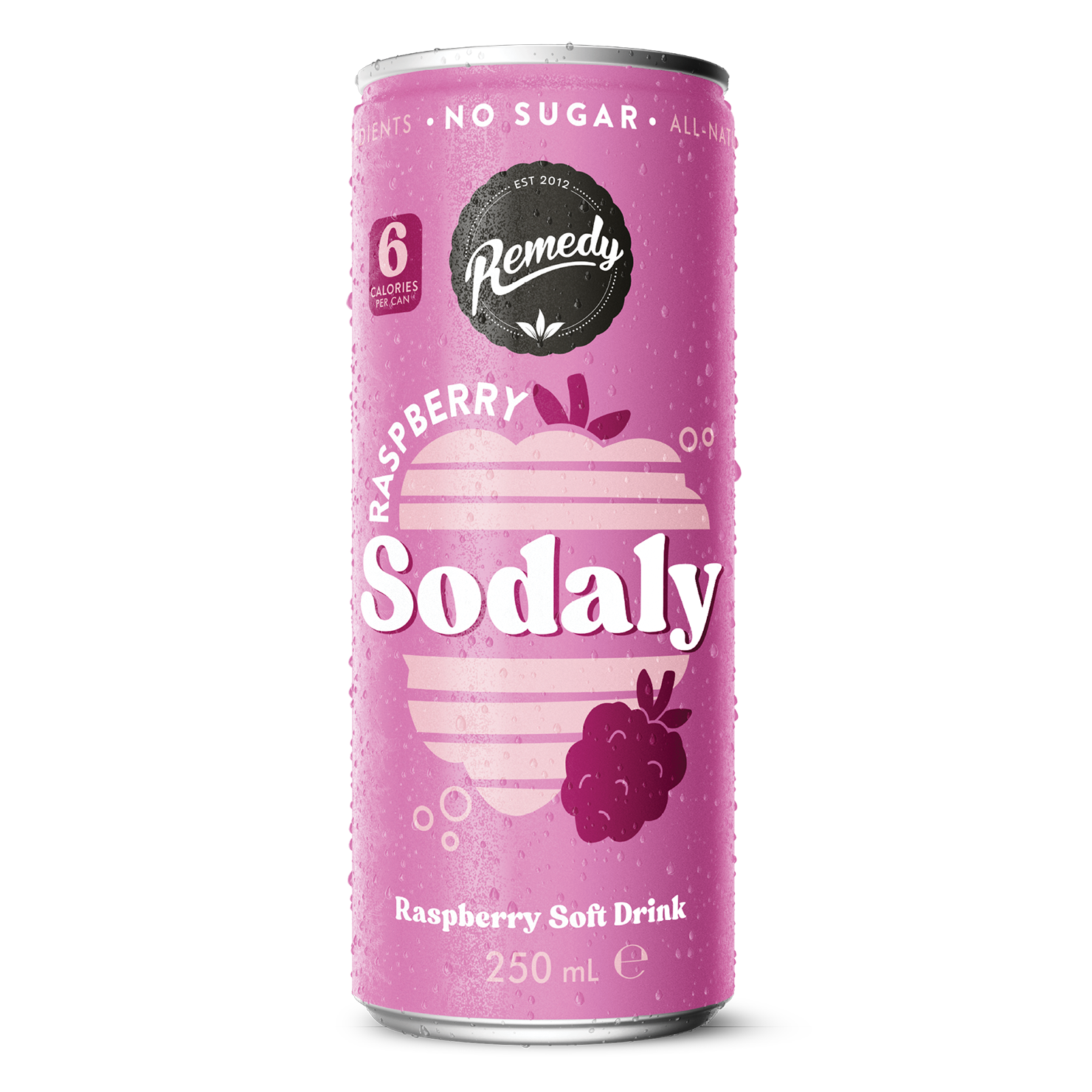 Shop Remedy – Remedy Drinks | No Sugar and Live Cultured